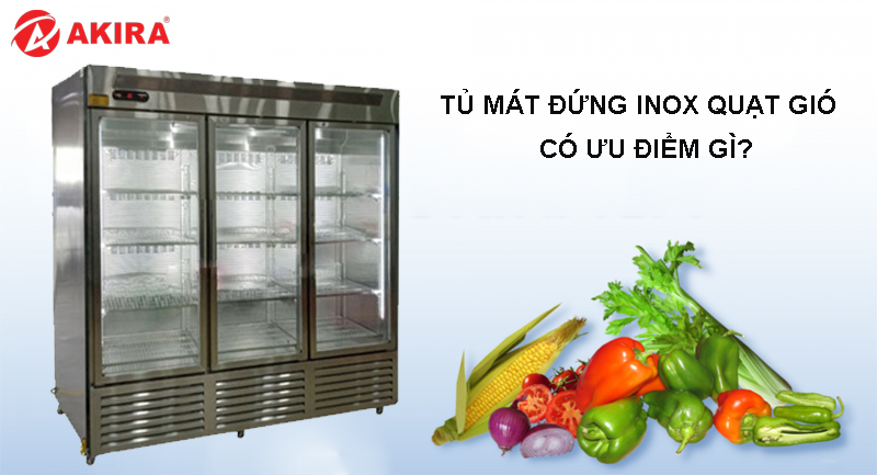 Tủ mát đứng inox quạt gió có ưu điểm gì? - Điện Máy Akira