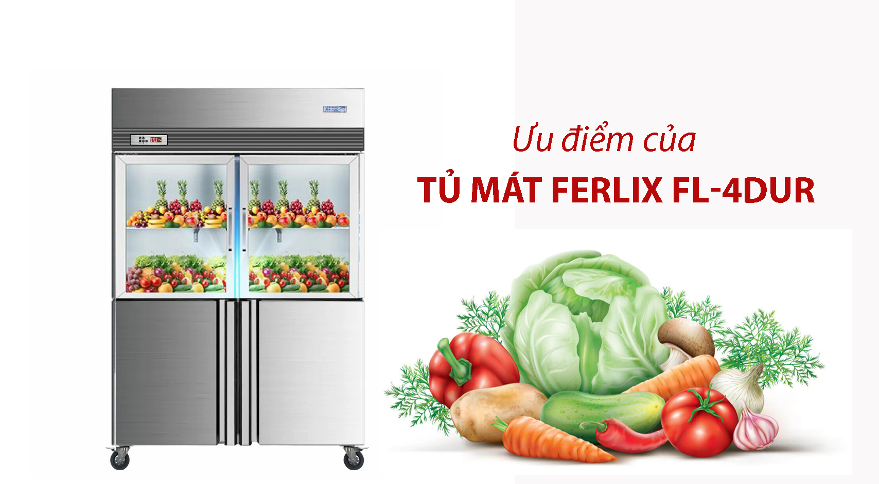 Ưu điểm của tủ mát Ferlix FL-4DUR - Điện Máy Akira