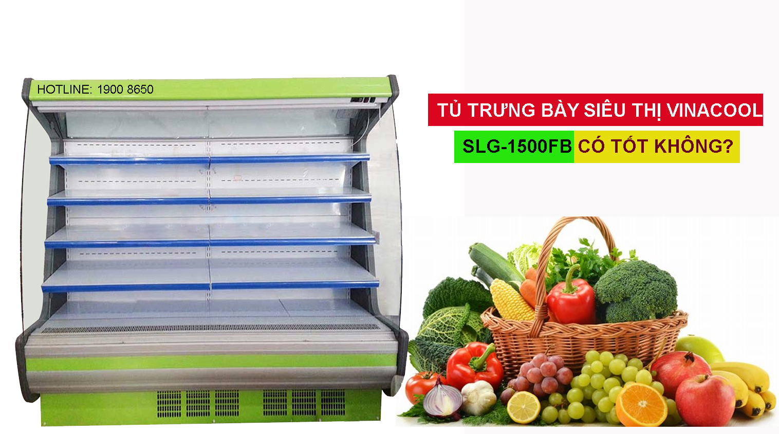 Tủ trưng bày siêu thị Vinacool SLG-1500FB có tốt không? - Điện Máy Akira