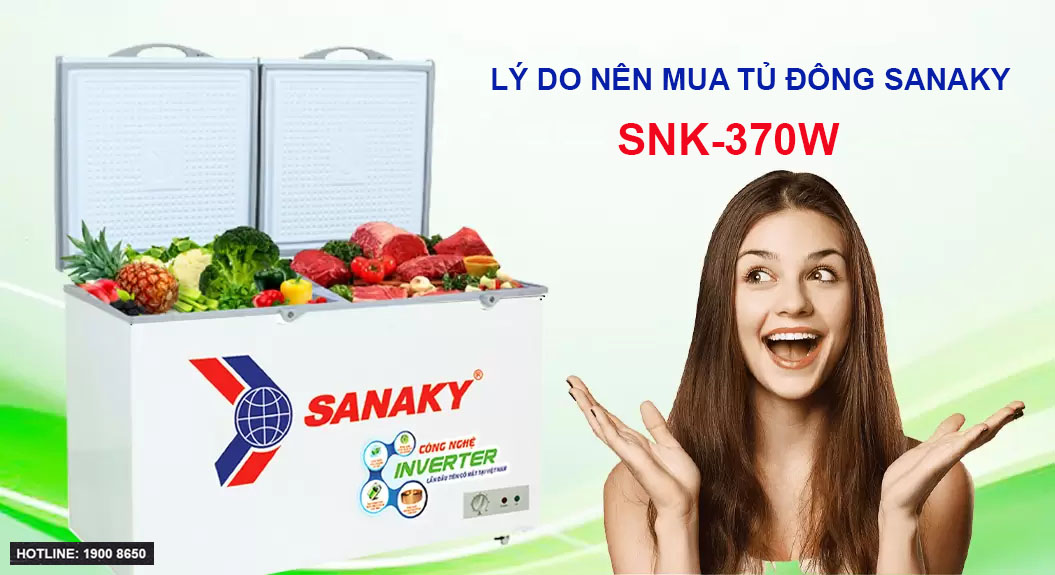 Lý do nên mua tủ đông Sanaky SNK-370W - Điện Máy Akira