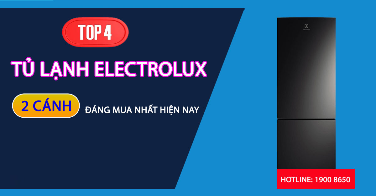 Top 4 Tủ Lạnh Electrolux 2 Cánh đáng Mua Nhất Hiện Nay Điện Máy Akira